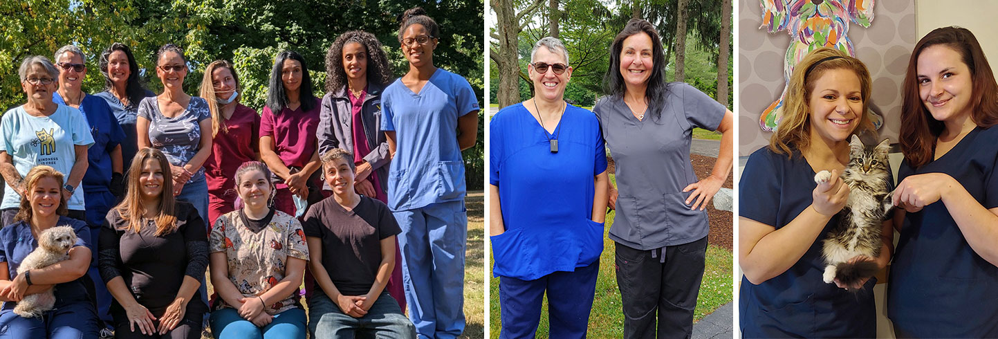 Riverside Animal Hospital | Riverside veterinary hospital